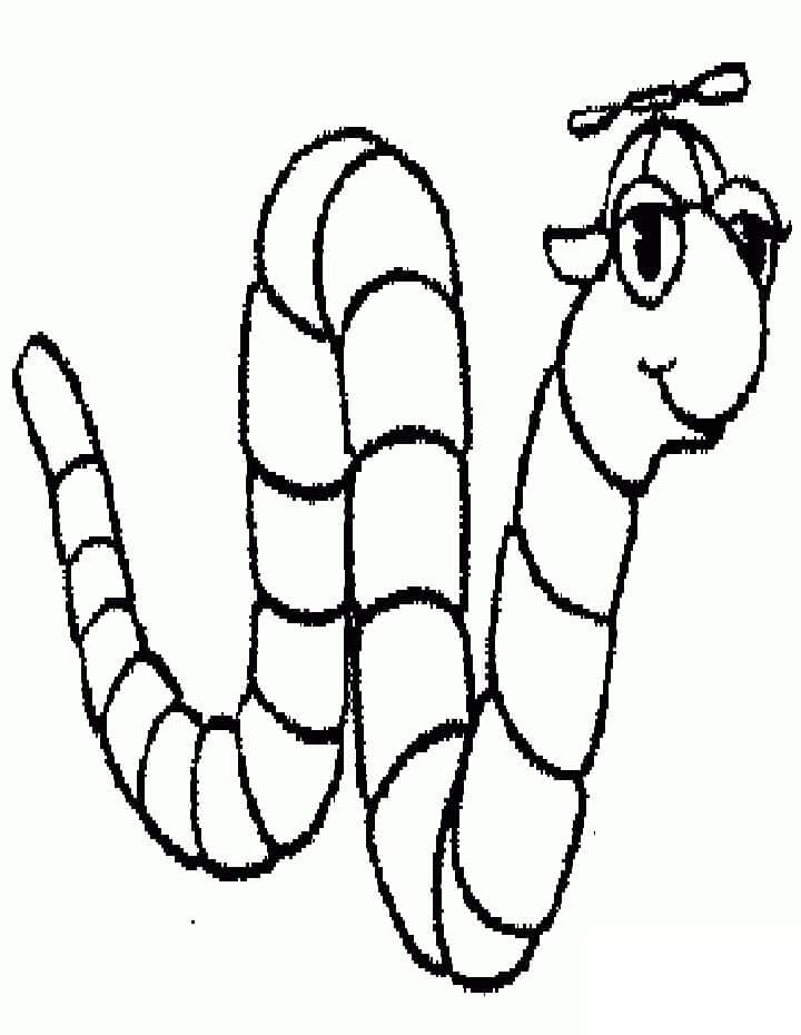 Solucan Ücretsiz Grafikler Boyama Sayfası – Boyama Online