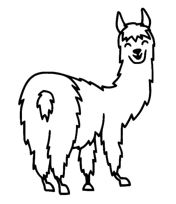 Lama L'animale