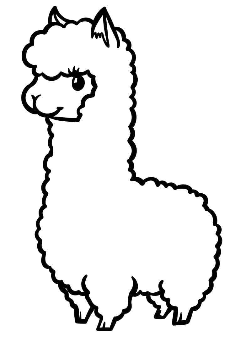 Lama Boyama Sayfaları – Boyama Online
