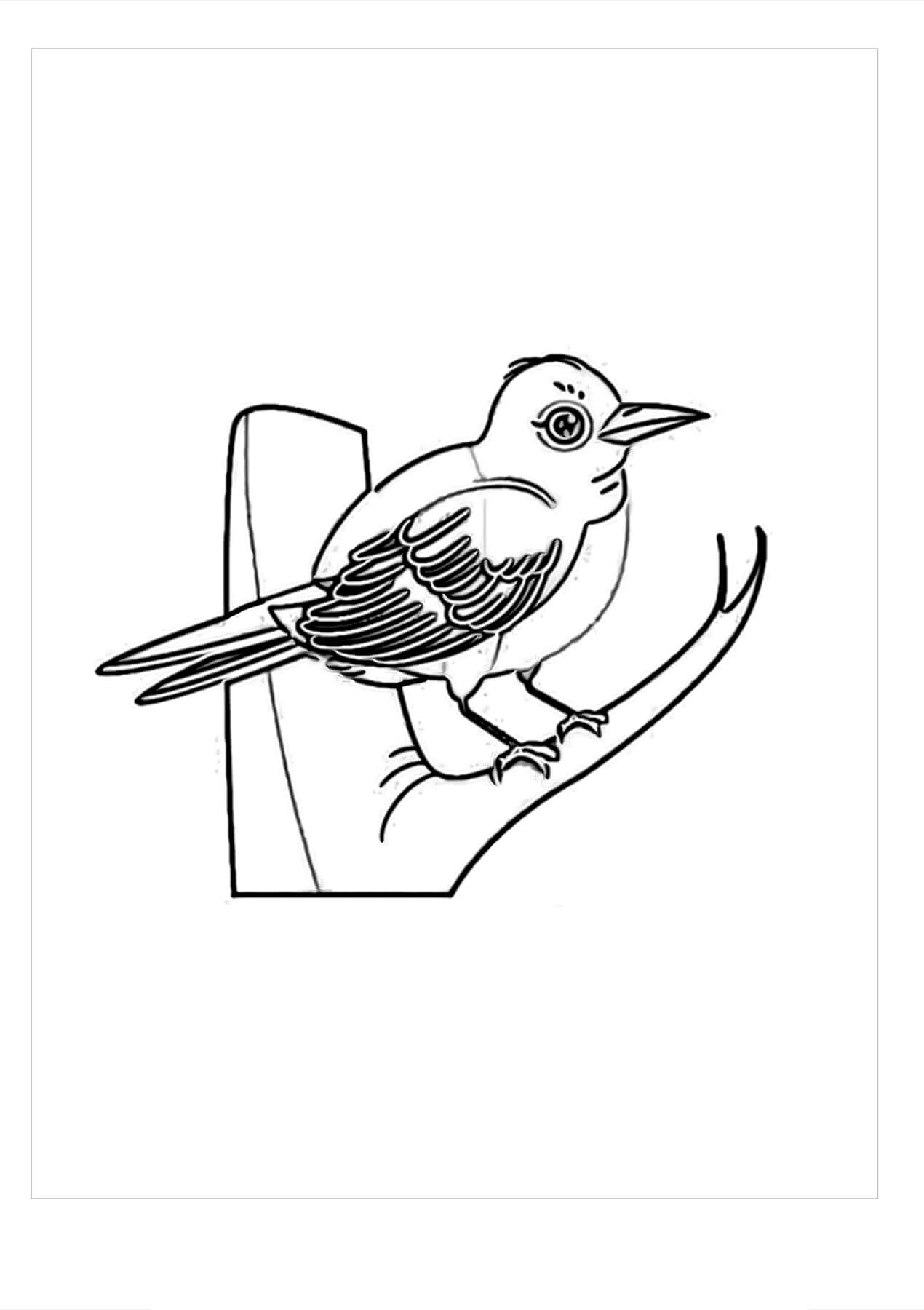 Alaycı Kuş Boyama Sayfaları – Boyama Online