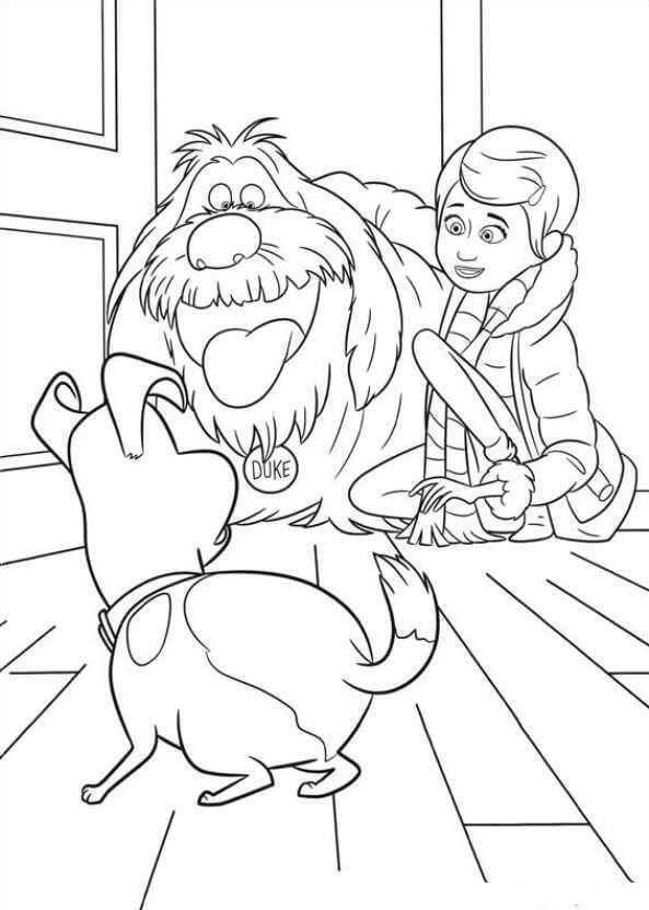 Max ile Duke Sürprizi Boyama Sayfası – Boyama Online