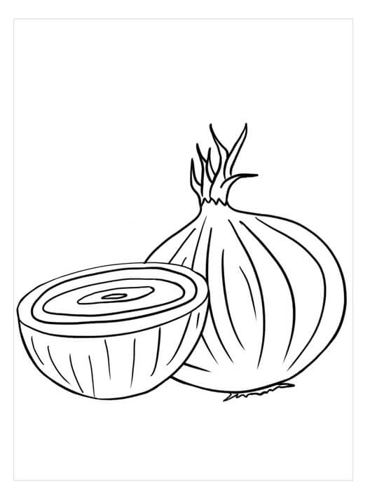 Soğan Boyama Sayfaları – Boyama Online