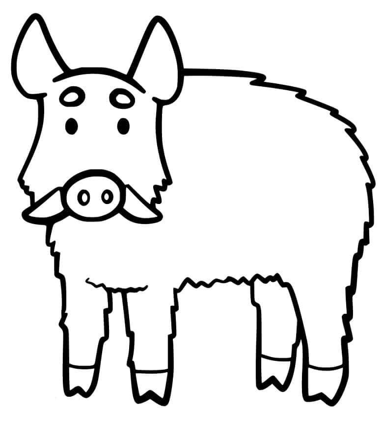 Yaban Domuzu Boyama Sayfaları – Boyama Online