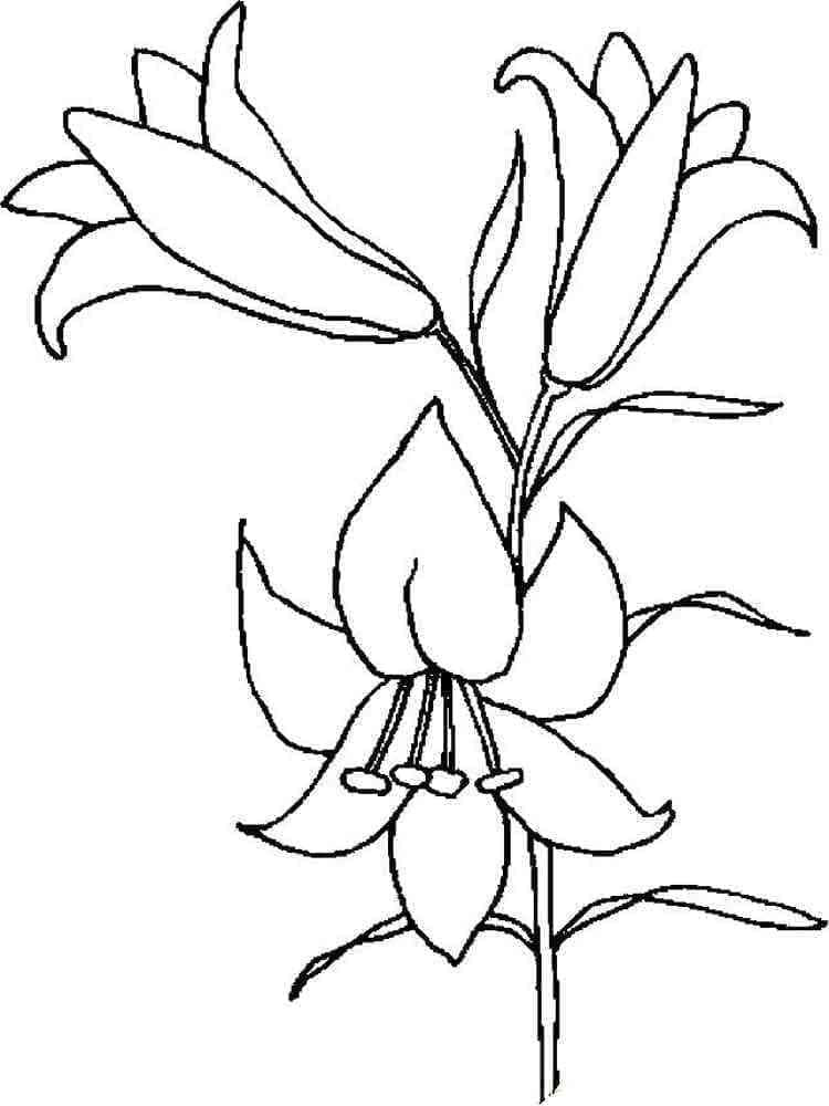 Zambaklar Yazdırılabilir Boyama Sayfası – Boyama Online